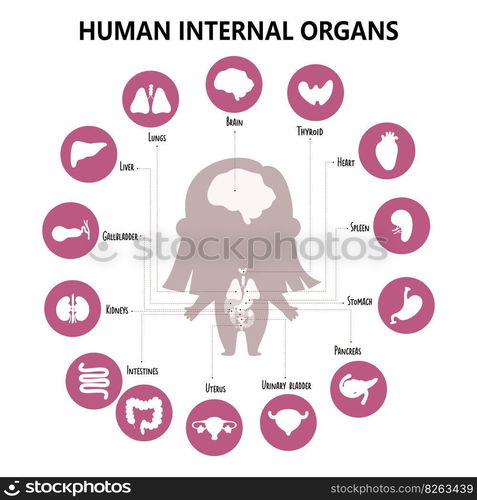 Anatomy human body. Infographic with girl and visual structure internal ...