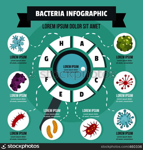 Bacteria infographic banner concept. Flat illustration of bacteria ...