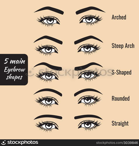 Basic eyebrow shape types vector illustration. 5 basic eyebrow shape ...
