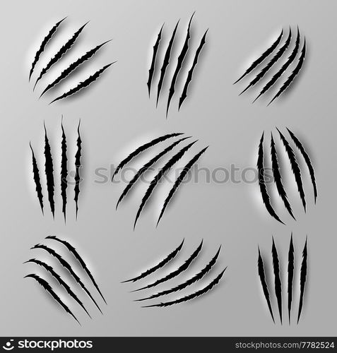 Bear and tiger claw marks and scratches from beast animal paw nails ...
