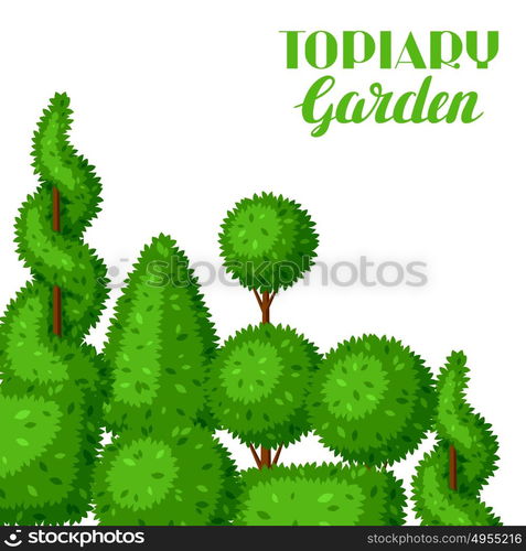 Boxwood topiary garden plants. Background with decorative trees ...