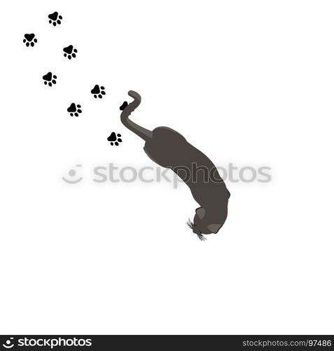 Cat top view vector black cute isolated illustration animal realistic ...