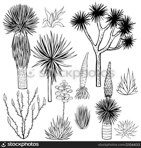 Desert plants. Succulents. Vector sketch illustration.. Desert plants ...