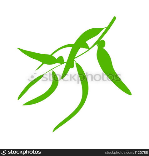 Eucalyptus tree. Vector illustration. Fresh eucalyptus background flat ...