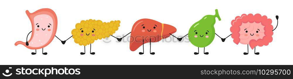 Gastrointestinal tract organs kawaii characters hold hands. Smiling ...