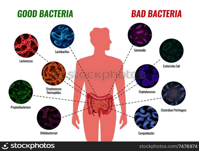 Good and bad bacteria poster with healthcare and treatment symbols flat ...