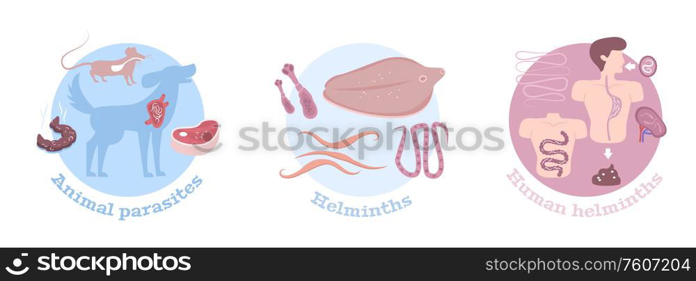 Helminths parasitic worms life cycle stages in humans and animals 3 ...