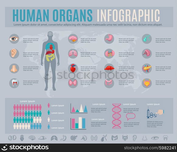 Human organs infographic set with internal body parts symbols and ...