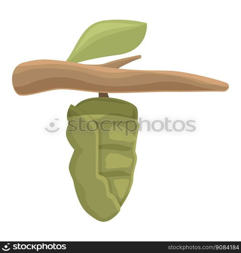 Nature cocoon icon cartoon vector. Natural leaf. Larva life. Nature ...