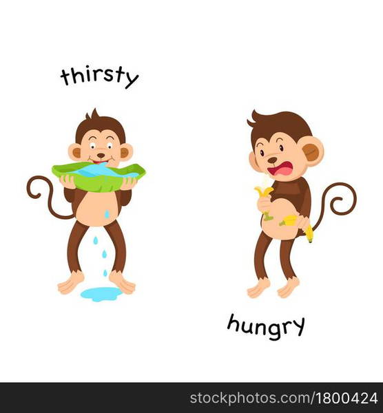 Opposite tight and loose vector illustration — Stockphotos.com