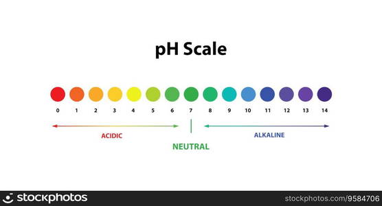 The Ph scale universal Indicator ph Color Chart diagram. Vector ...