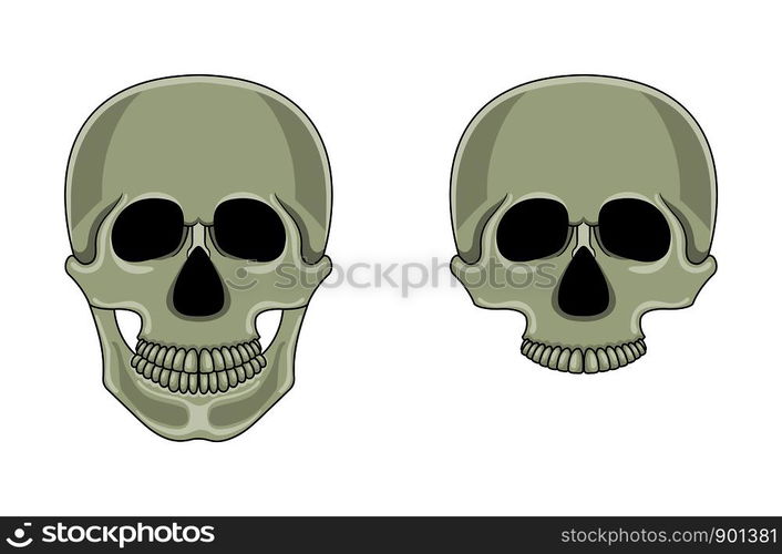 Skull isolated on white background. Cartoon human skull with jaw ...