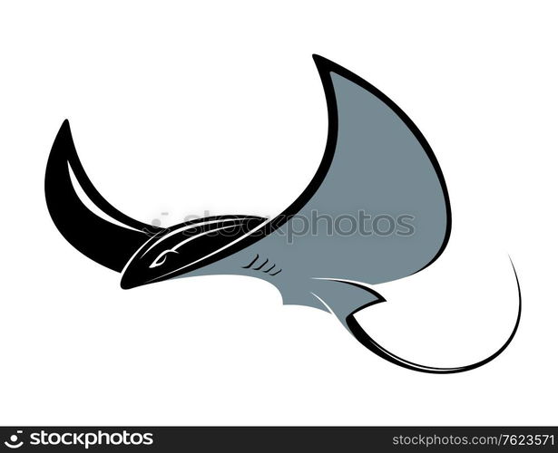 Swimming manta ray with its wing-like pectoral fins in a floating ...