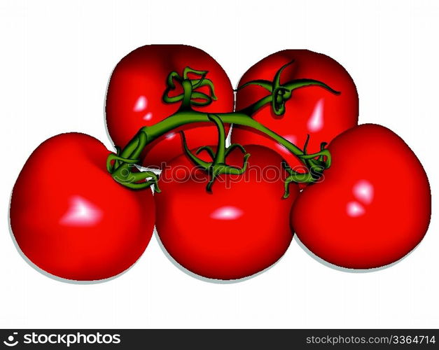 tomatoes against white background, abstract vector art illustration ...