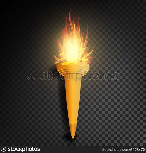 Torch With Flame. Burning In The Dark Transparent Background Realistic ...
